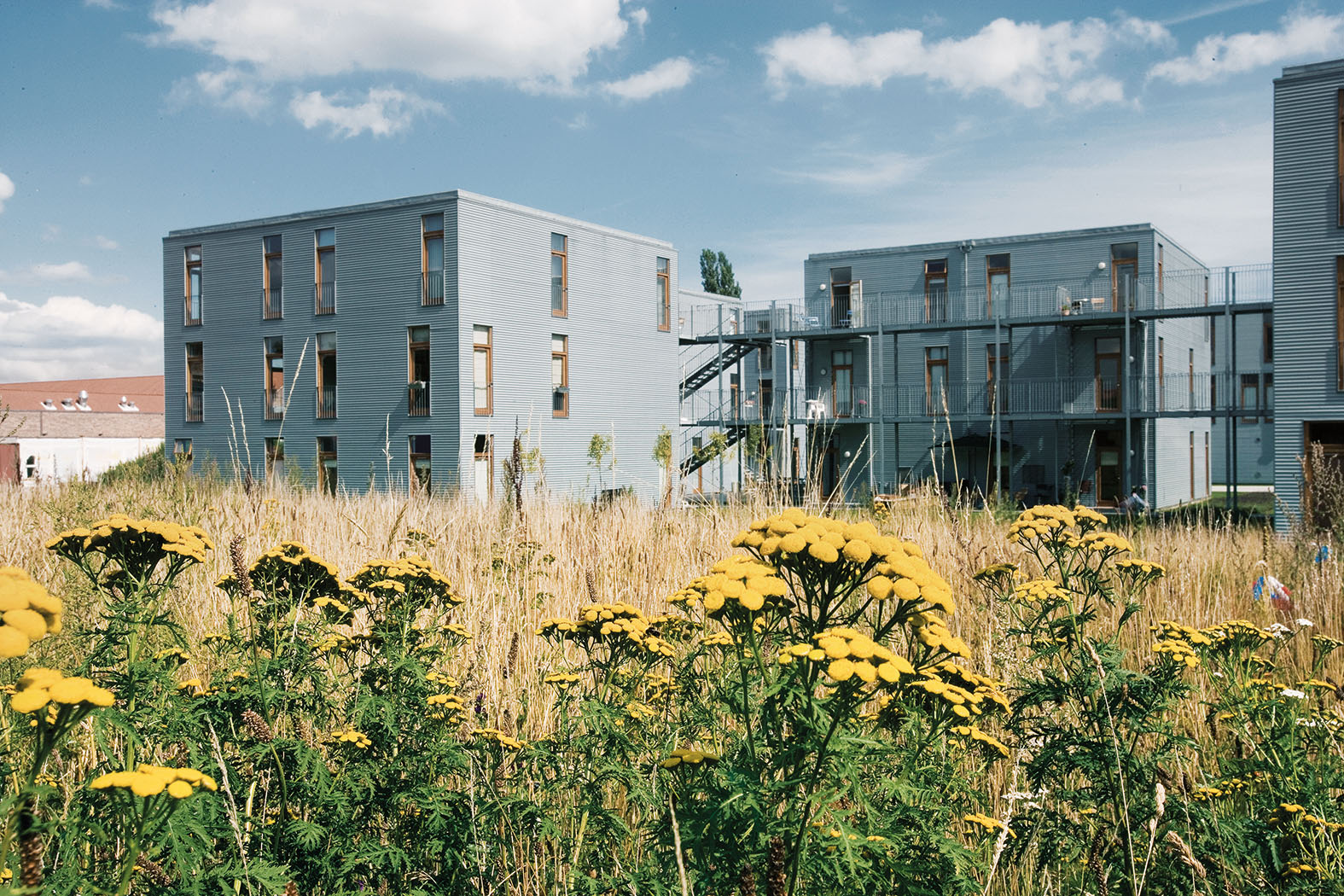 Better Affordable Housing Project | Contemporary Architecture Guide